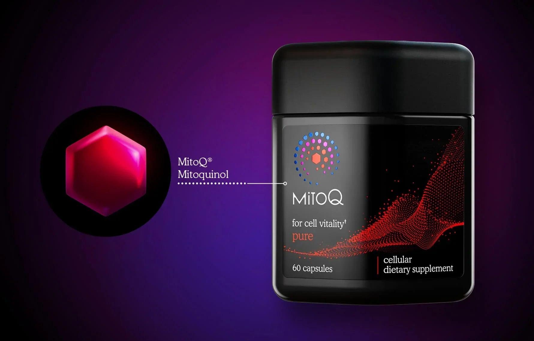 MitoQ ingredients glossary – MitoQ Ltd