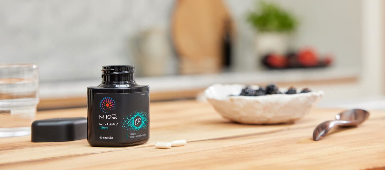 The power boosting ingredients in MitoQ Liver – MitoQ Ltd